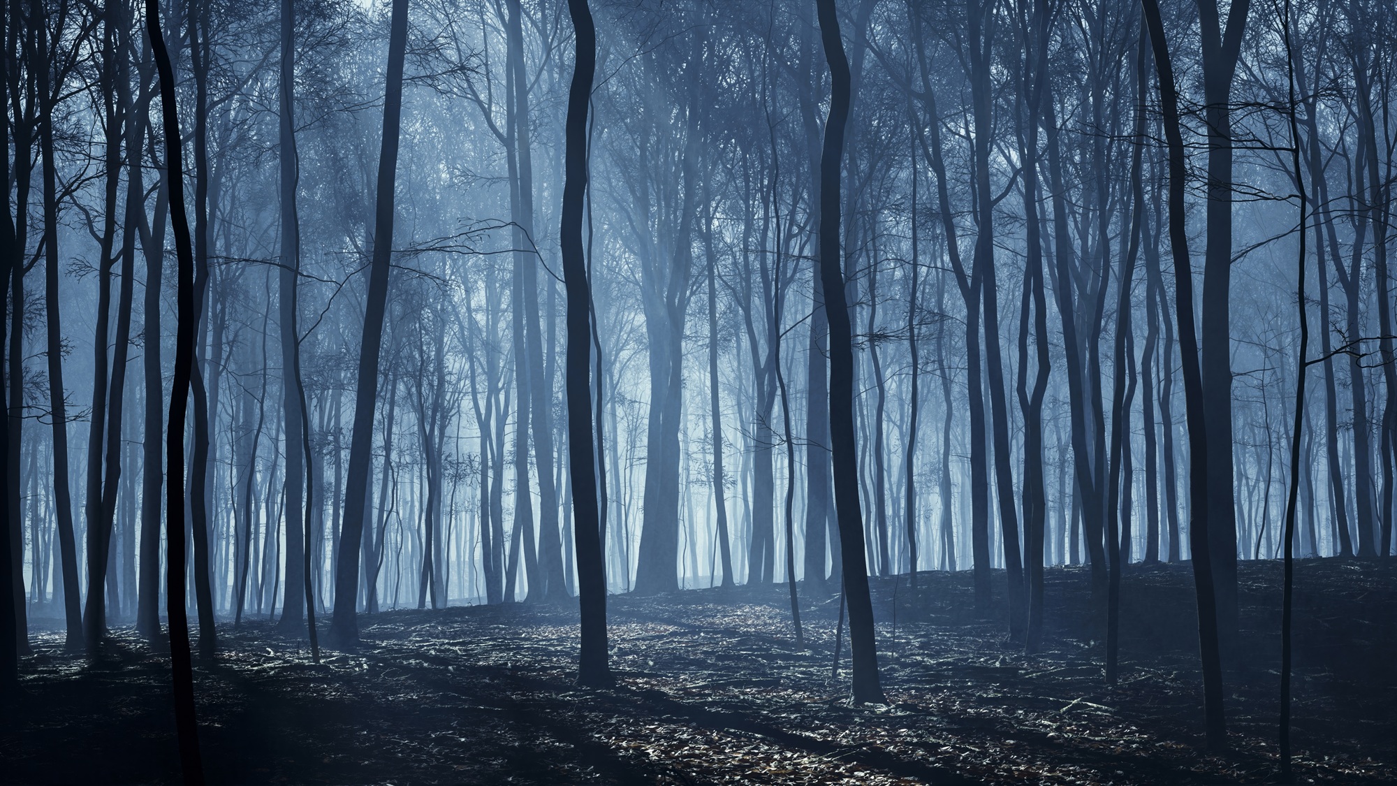 Le monde spirituel me fait peur - SpirituElles